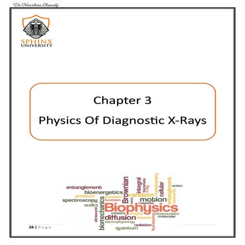 Sound Sources (Grade 2) | PDF