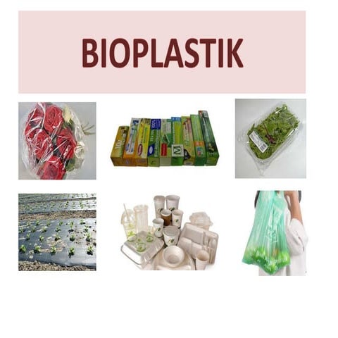 BIOPLASTIK.pptx