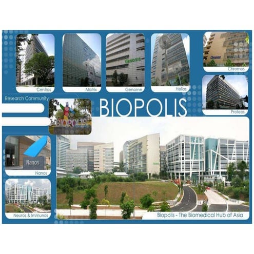 (GCF2008) Biopolis Research Community - " Biopolis" | PDF