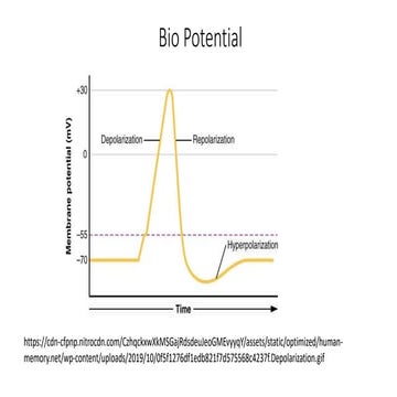 Bio Potential Generation and Bio Electrode.pptx
