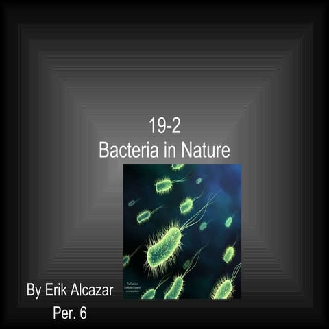 Bio Powerpoint | PPT