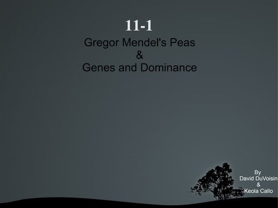 A summary of Mendel's peas | PPT