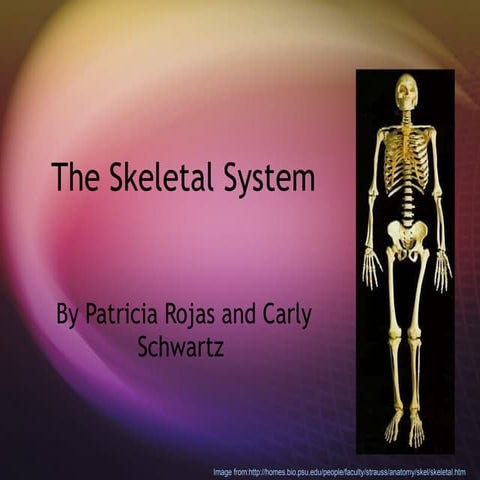 Bio powerpoint | PPT