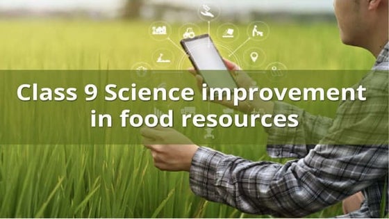 Raika community in Rajasthan ( Saisha).pptx