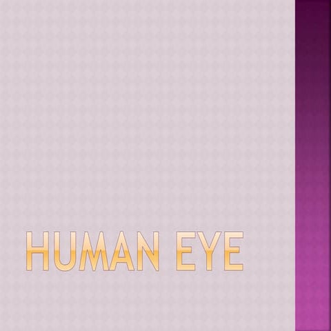 the human eye and the working methodology of it.pptx