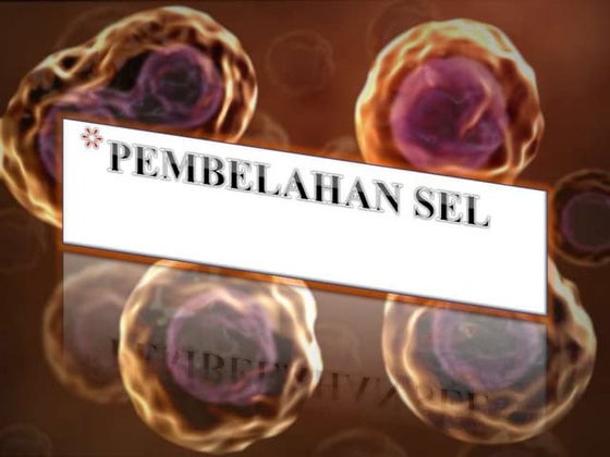 Gambar dan tahap pembelahan sel | PDF