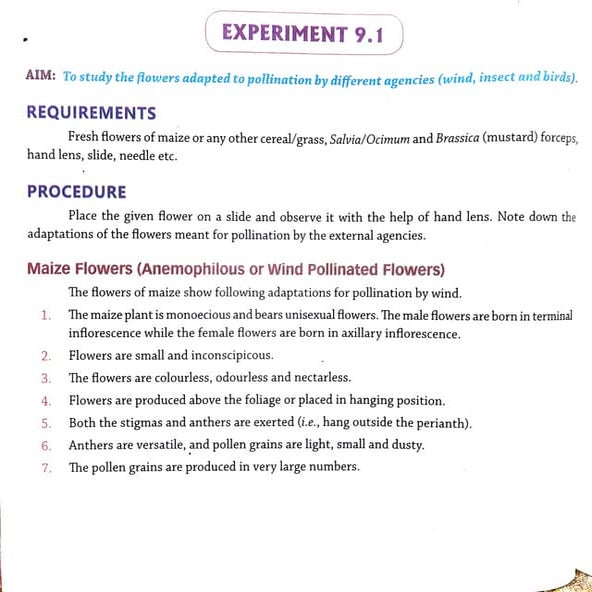 Bio Prac 1, 29 Apr.pdf