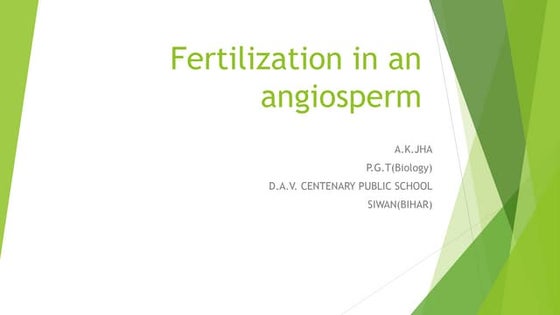 Fertilisation in plants | PPTX | Infertility | Reproductive Health