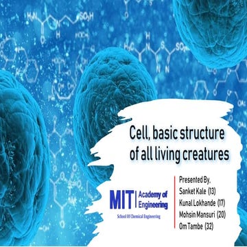 Bio_Presentation.pptx