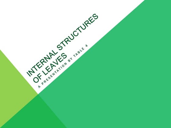 Leaf | PPTX | Gardening | Home & Garden