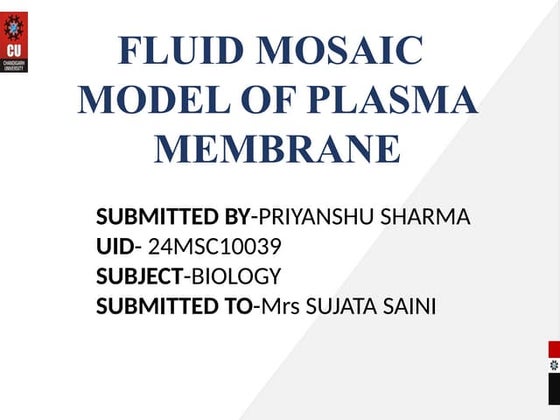 PLASMA MEMBRANE STRUCTURE AND FUNCTIONS | PPTX