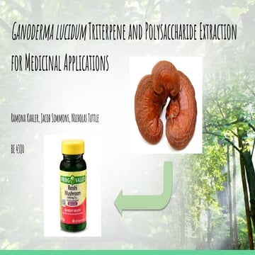 Ganoderma lucidum Triterpene and Polysaccharide Extraction for ...