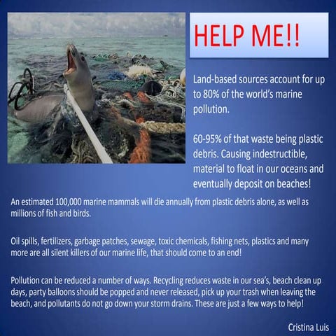 "Impact and Sources of Ocean Pollution". | PPTX