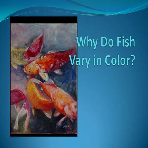 COLORATION IN FISHES: its Regulation and significance by GAZEE OWAIS | PPTX
