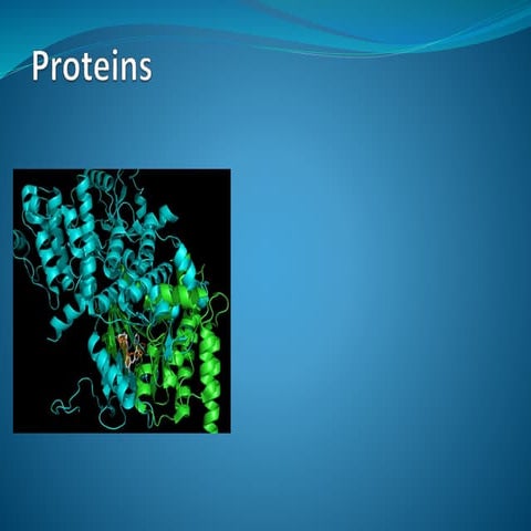bio protein.ppt