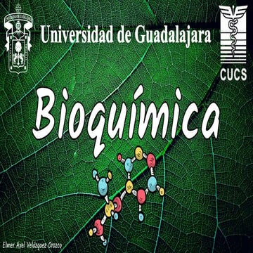 BIOQUIMICA (1).pdf