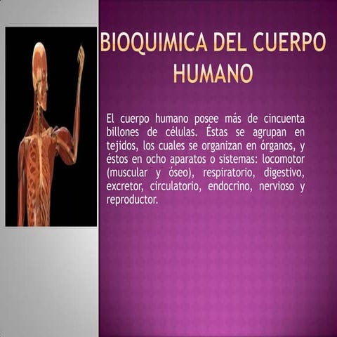 El cuerpo humano | PPS