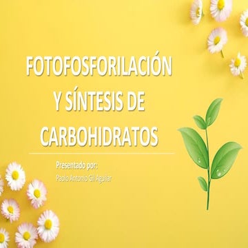 Understanding Countable and Uncountable Nouns in English Grammar | PPTX