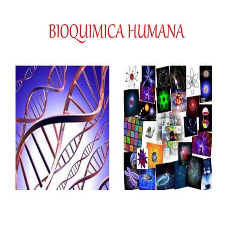 Bioquimica humana | PPTX