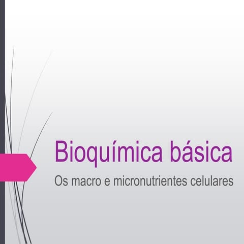 Bioquímica básica | PDF