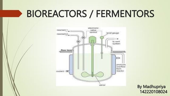 Bubble column reactor | PPTX | Chemistry | Science