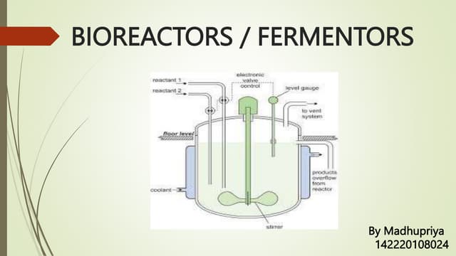 Reactors & parts in API & Chemical Industries | PPTX