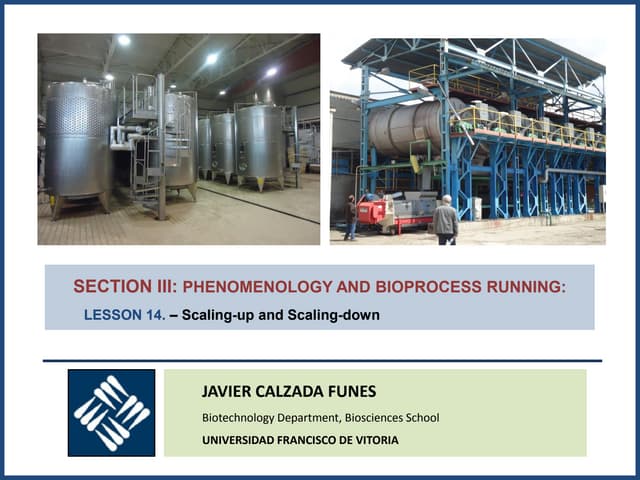 SCALE-UP OF BIOREACTOR.pptx