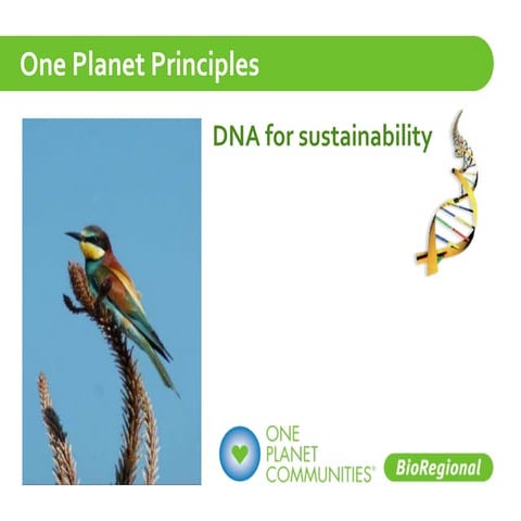 "Renewable Energies Projects in Africa" Presented at Divest/Invest ...
