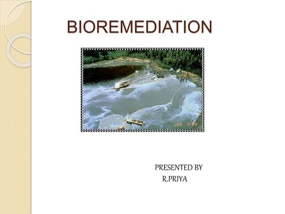 Bioremediation. | PPTX