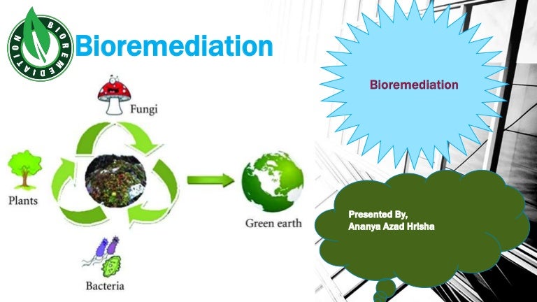 Bioremediation