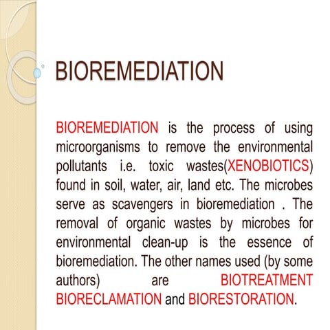 BIOREMEDIATION.pptx