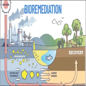 The different types of bio-remediation and its importance. | PPT
