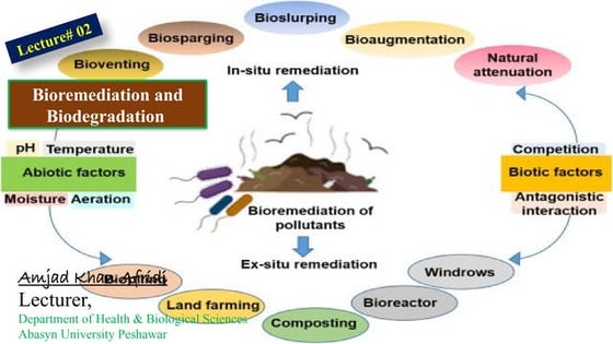 Bioremediation, principle and types | PPTX | Gardening | Home & Garden