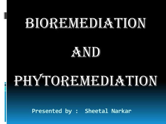 Phytoremediation.ppt