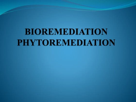 Bioremediation And Phytoremediation Recent Applications Of