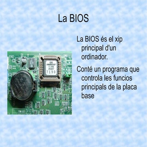 Bios | PPT