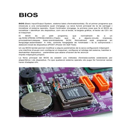 Bios | PDF