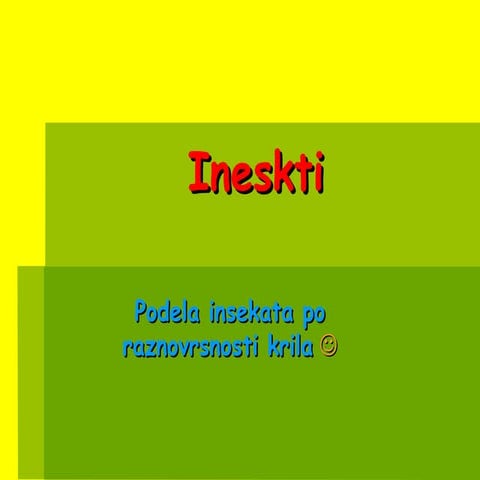 Vrste insekata prema obliku krila | PPT