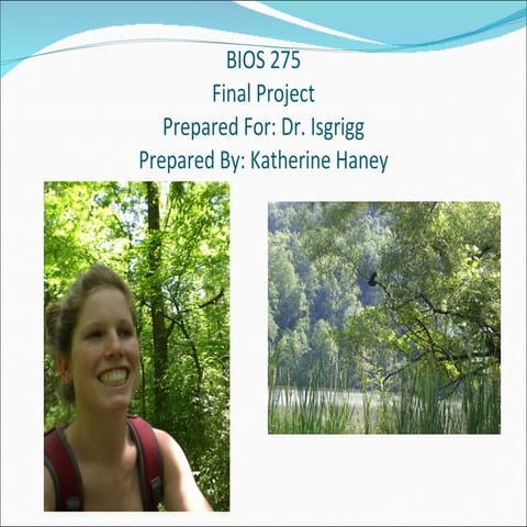 BIOS 275 : ISGRIGG: KATIE HANEY | PPT