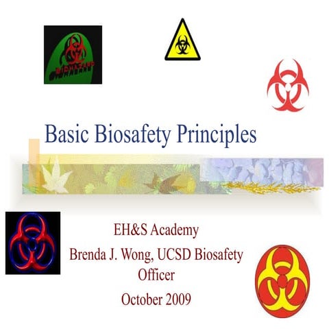 Biosafety | PPT | Infectious Diseases | Diseases and Conditions