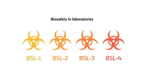 Lecture 3: biosafety levels | PPTX | Infectious Diseases | Diseases and ...