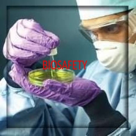 Safety in biotechnology.pdf