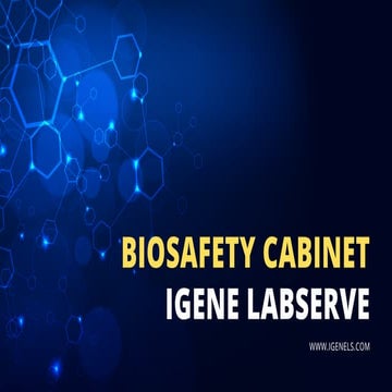 iGene Labserve Creating a New Standard for Clean Laboratory Workspaces ...