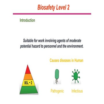 TYPES OF BIOSAFETY CABINET, DIFFERENCE BETWEEN BIOSAFETY CABINET AND ...