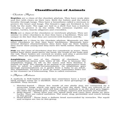 Grade 5 lessons on science | PPTX