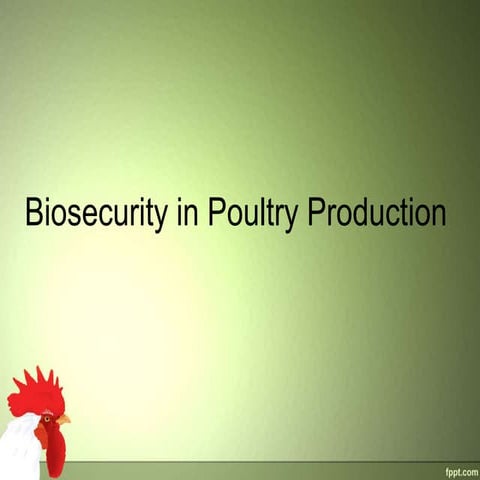 Biosecurity of a poultry farm.pptx