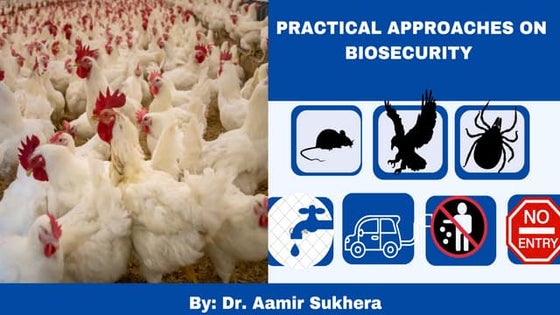 Biosecurity of a poultry farm.pptx