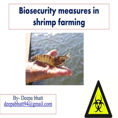 Biosecurity measures in shrimp farming | PPTX