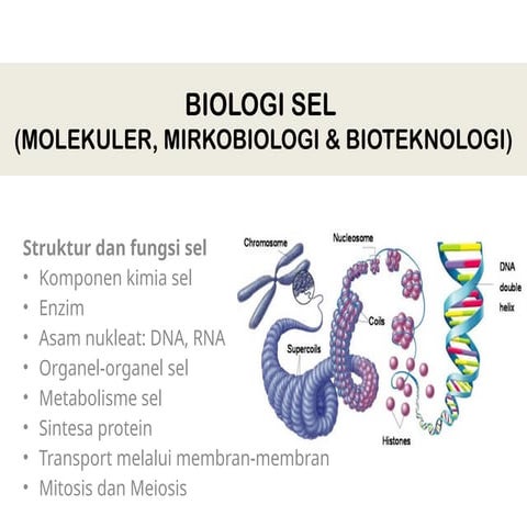 Biologi sel adalah cabang ilmu biologi yang mempelajari tentang sel ...