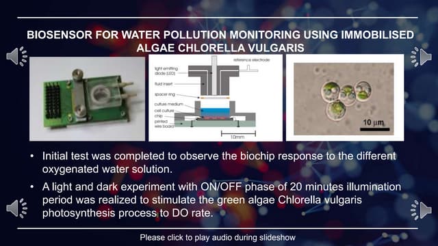 Biosensor For Water Pollution Monitoring Using Immobilised Algae Pptx